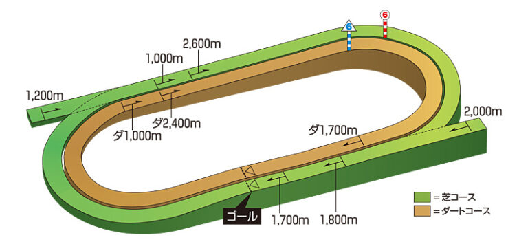 【予想に役立つ】函館競馬芝1200m戦の血統傾向/成績上位種牡馬/得意騎手まとめ - サラスキ